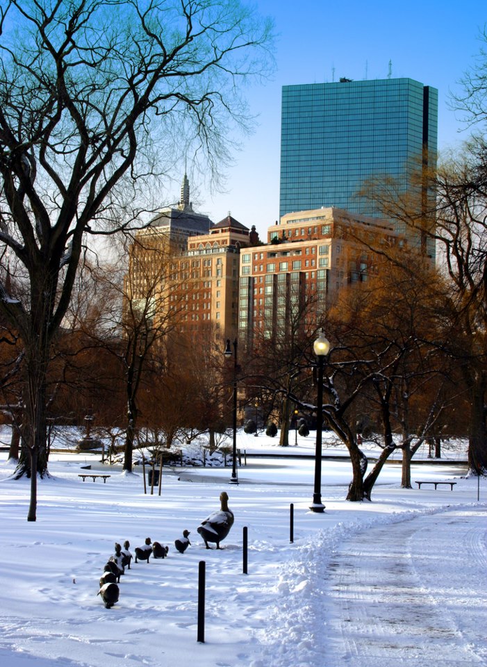 Prepare your coats: TALK’s Winter activities in Boston that you can’t ...