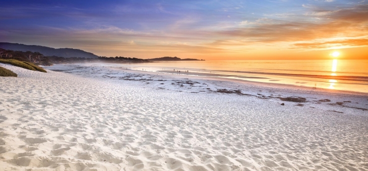 Best Beaches in The Bay Area and Beyond | TALK Schools - Blog