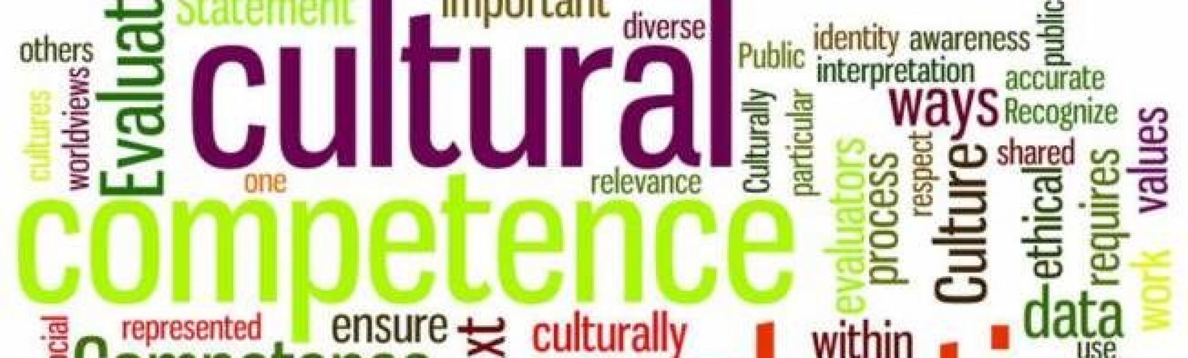 Competencia cultural y lengua | TALK Schools - Blog