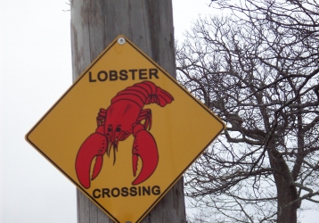 랍스터 Archives | TALK Schools - Blog