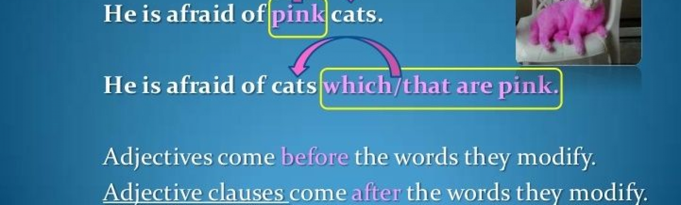 Cláusula adjetiva | TALK Schools - Blog