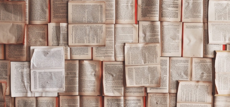 The most used word in the English Language? | TALK Schools - Blog