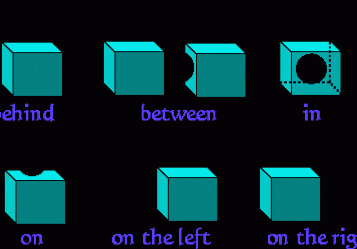 Preposition and postposition Archives | TALK Schools - Blog